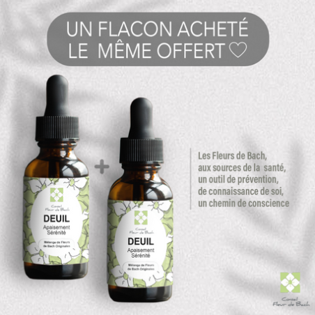 Fleurs de bach Deuil-Décès pour vous aider à passer cette étape