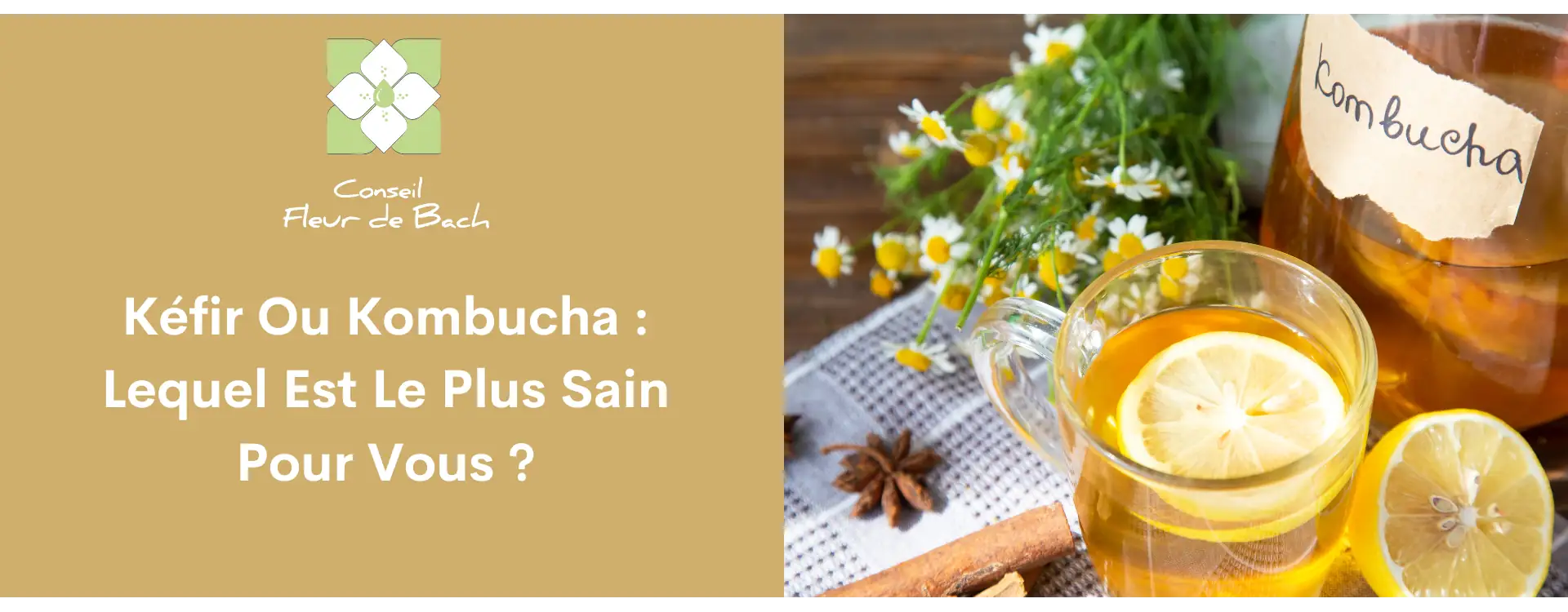 Kéfir Ou Kombucha : Lequel Est Le Plus Sain Pour Vous ? - Blog d'Angélique